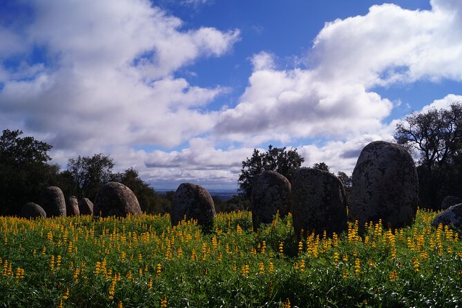 Half Day Megaliths Cromlech Tour from Evora by Archaeologists - A Detailed Look at the Tour Experience