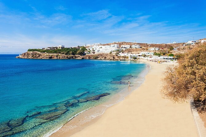 Half Day Private Tour Island with a Local in Mykonos - What to Expect from This Tour
