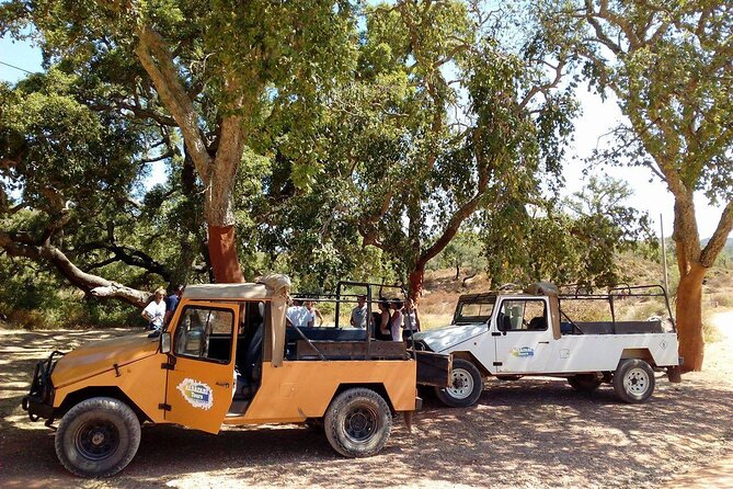 Half Day Safari Tour with Wine Tasting - Key Points