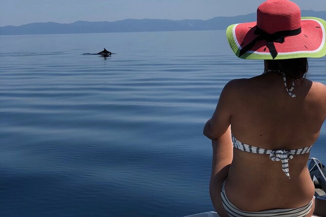 Halkidiki: Sithonia Private Full Day Cruise - Why This Tour Offers Great Value