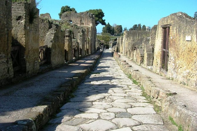 Herculaneum Ruins - The Practicality of a Private Transfer