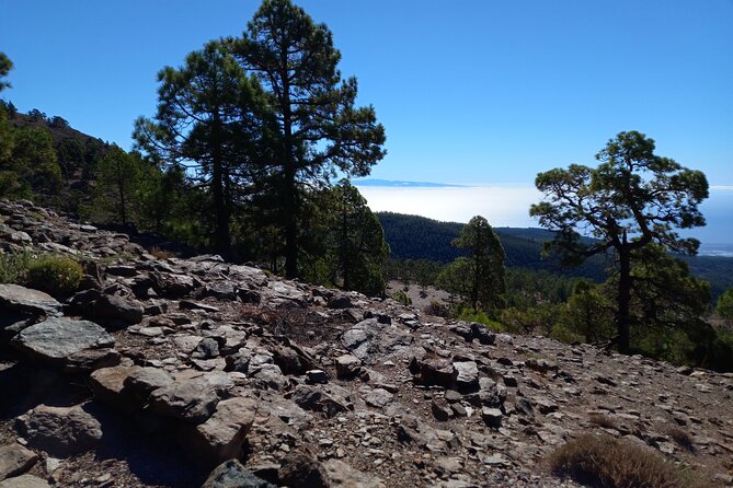 Hiking in Tenerife's Great Outdoors - Why This Hiking Tour Stands Out