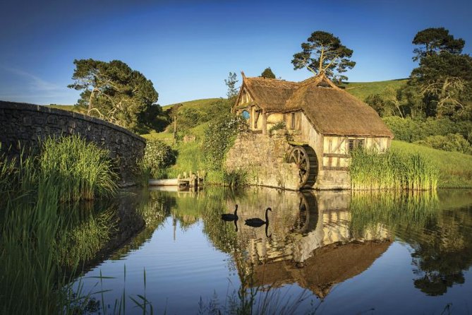 Hobbiton & Waitomo Caves Guided Day Trip from Auckland incl lunch - The Practicals: What to Know