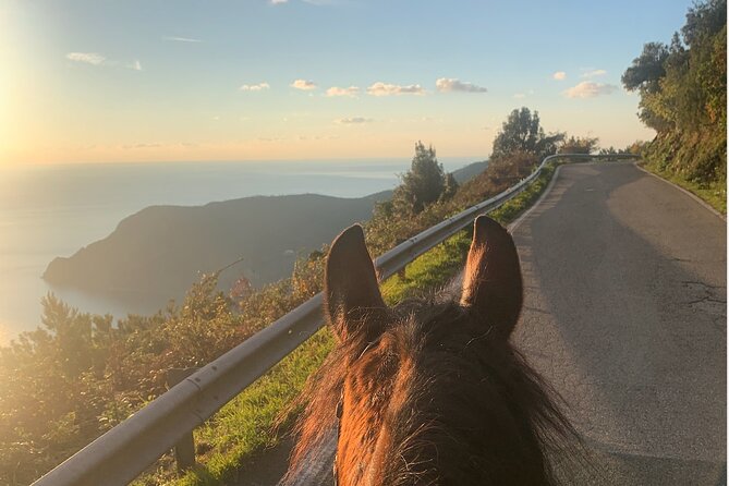 Horse ride on the coast of Monterosso al Mare Cinque Terre - Who Is This Tour Best For?