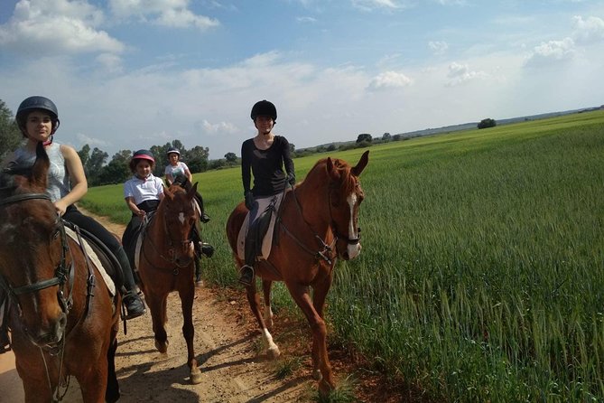 Horseback riding around Doñana - The Value of the Experience