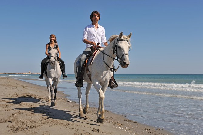 Horseback Riding in Bodrum - An Authentic Ride Through Bodrum’s Countryside