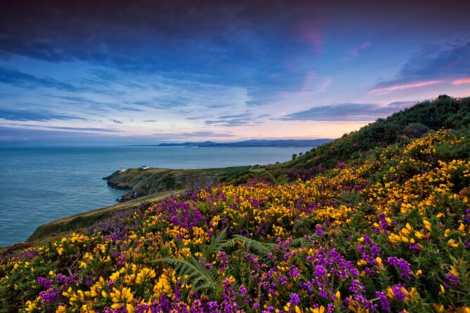 Howth Coastal Half-Day Bus Tour from Dublin with Live Guide - Introduction: What to Expect from the Howth Coastal Tour
