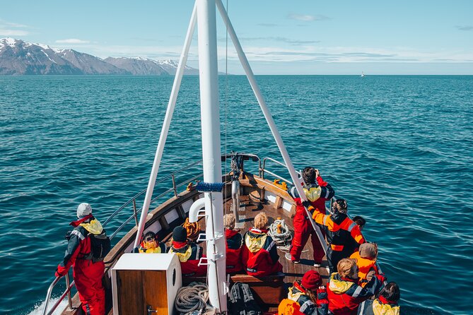 Húsavík Whale Watching Tour, family owned and operated - An Honest Look at the Whale Watching Experience