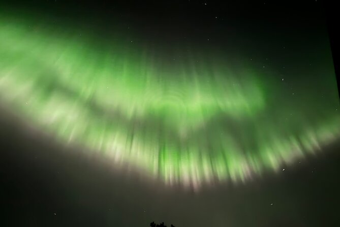 Husky Sled Ride Northern Lights Tour from Kiruna - An Authentic Arctic Experience with Huskies and the Aurora