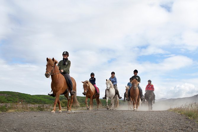 Icelandic Horseback Riding Tour from Reykjavik - The Itinerary and the Ride