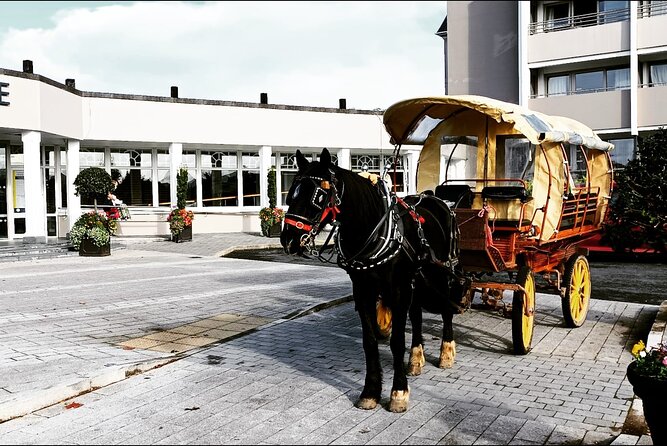 Jaunting Car Tour in Killarney National Park - Price and Value: Is It Worth It?