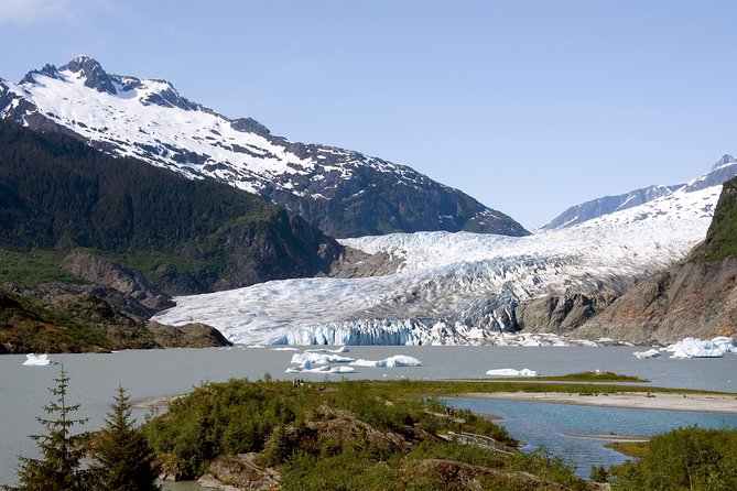 Juneau Wildlife Whale Watching & Mendenhall Glacier - What To Expect: Practical Details
