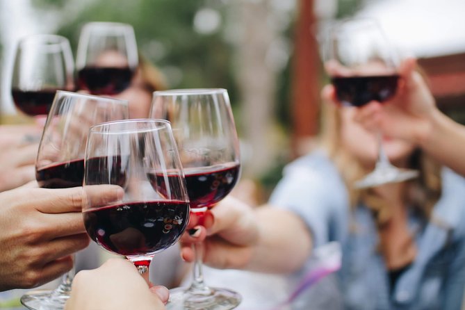 Kalamata- Olive oil & Wine Tour with traditional lunch - An Authentic Journey through Olive Groves, Olive Oil & Wine