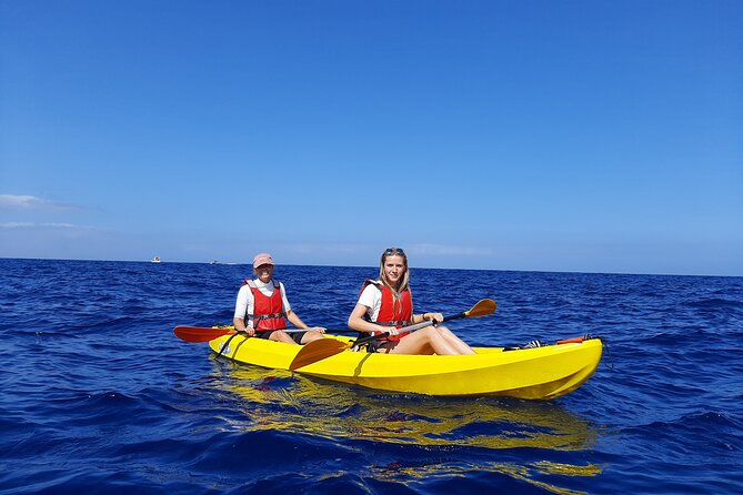 Kayak Safari with Dolphin and Turtle Watching in Guaza - Key Points