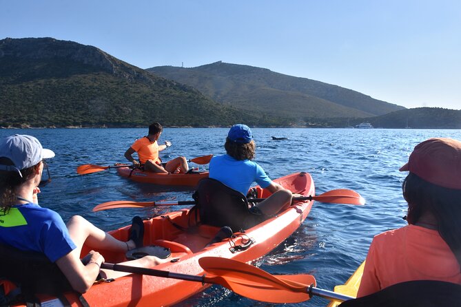 Kayak tour with aperitif and dolphins - What’s Included and What’s Not