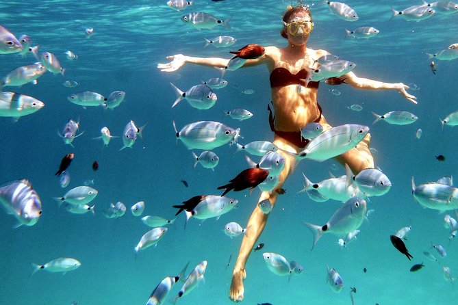 Kayak Tour with Snorkeling and Local Aperitif - An In-Depth Look at the Kayak and Snorkeling Tour