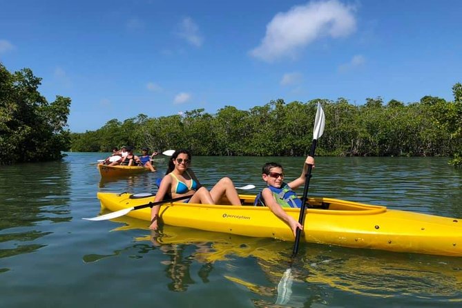 Key West Mangrove Kayak Eco Tour - Key Points