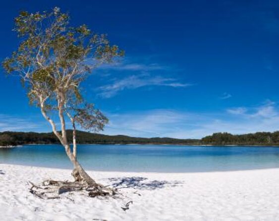 K'gari (Fraser Island) Explorer 2-Day Tour - The Itinerary in Detail: What You Can Expect