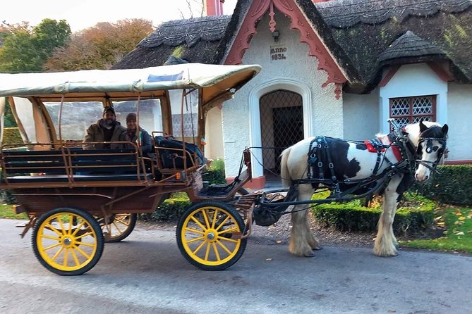 Killarney National Park Tour - Authenticity and Personal Touches