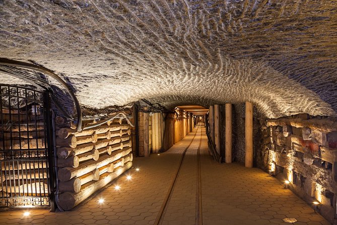 Krakow: Auschwitz-Birkenau and Salt Mine Guided Visits in One Day - Introduction: Is This Tour Right for You?
