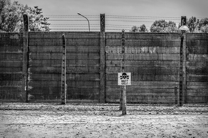 Krakow to Auschwitz-Birkenau Live Guided Tour with Transportation - What’s Included and What’s Not