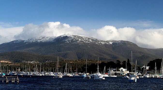kunanyi/Mt Wellington Explorer Bus- Return Tour (2.5 hours) - Who Will Love This Tour?