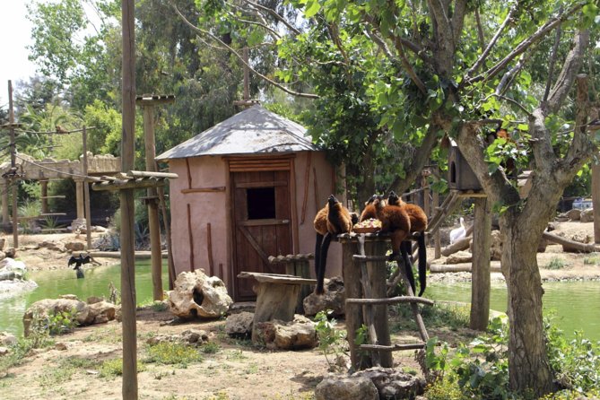 Lagos Zoo Admission Ticket - The Itinerary Breakdown