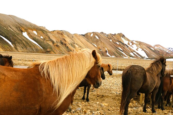 Landmannalaugar Hiking, Hot-Springs & Haifoss Waterfall tour - The Itinerary in Detail
