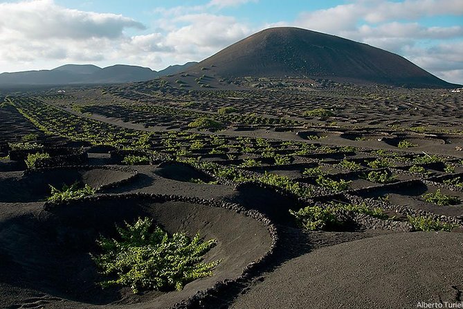 Lanzarote Island Tour (Full-day) - The Itinerary in Detail
