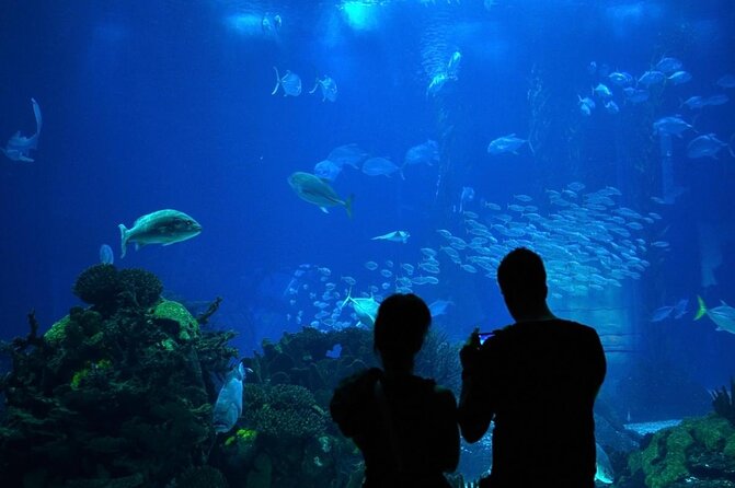 Lisbon Oceanario: Aquarium Entrance Ticket - A Closer Look at the Experience