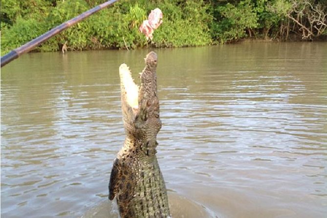 Litchfield National Park and Jumping Crocodile Cruise - Key Points