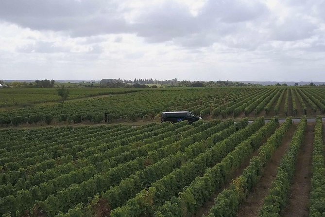 Loire Valley Half Day Wine Tour from Tours : Vouvray Wine Tasting - An In-Depth Look at the Tour Experience
