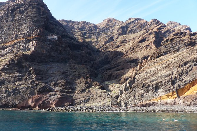 Los Gigantes Whale Watching Charter by Sail Boat - A Detailed Look at the Los Gigantes Whale Watching Tour