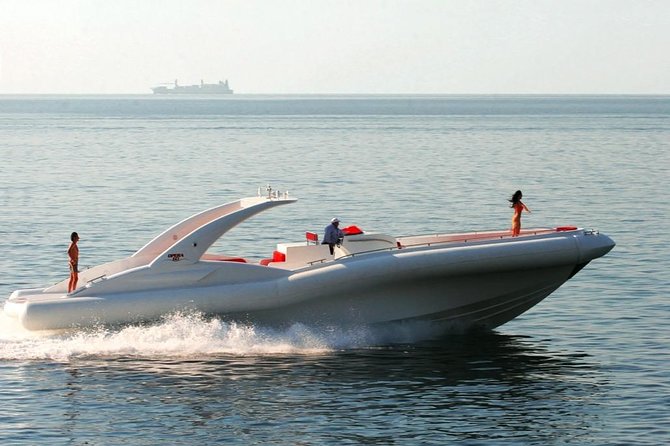 Luxury Opera 60 Whale & Dolphin Watching Experience - A Deep Dive into the Experience