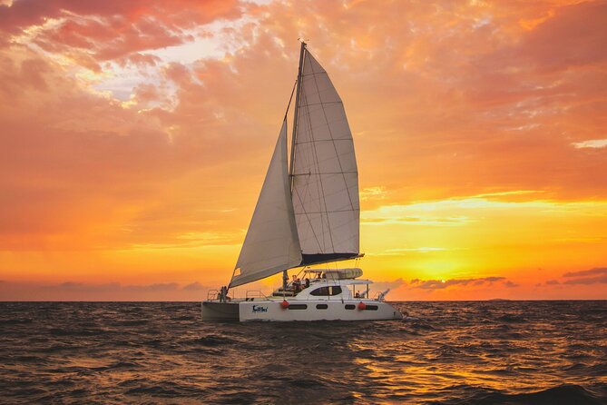 Luxury Sunset Sailing Cruise in Cancun with Light Dinner and Open Bar - An Introduction to the Experience
