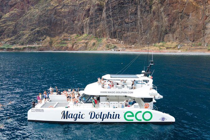 Madeira Dolphin and Whale Watching on a Ecological Catamaran - What to Expect from the Tour