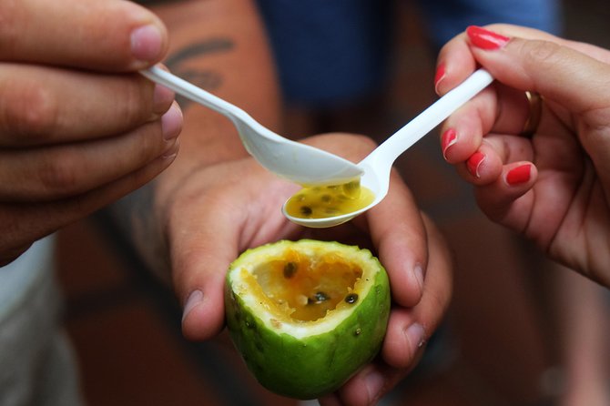 Madeira Food, Wine & Cultural Tour - The Itinerary – A Day of Tastes and Tales