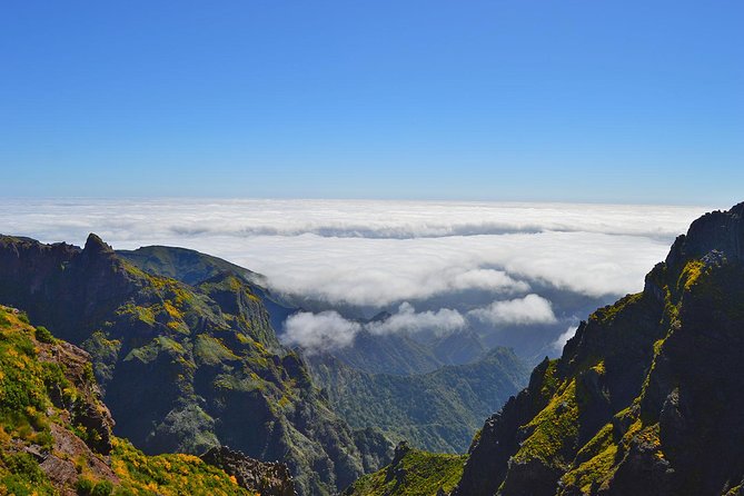 Madeira Peaks - Mountain Walk - What Makes This Tour Stand Out?