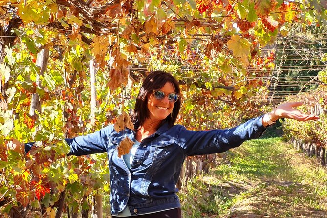 Maipo Valley Wine Tour with 4 vineyards from Santiago. - What Makes This Tour Stand Out?