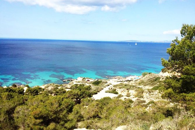 Mallorca: Try Scuba Diving in a Beautiful Nature Reserve - The Experience: What To Expect