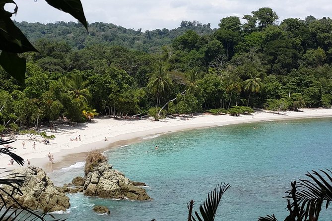 Manuel Antonio National Park Sightseeing and Wildlife Day Tour from San Jose - Practical Insights and Value