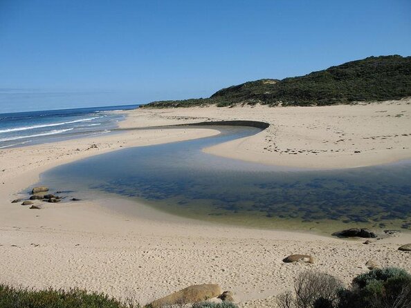 Margaret River Wine Adventure - The tour for people who don't do tours! - Who Is This Tour Best For?