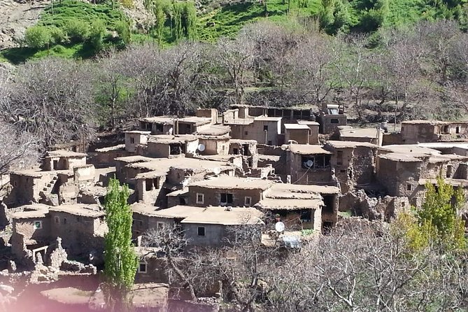 Marrakech Day Trip: Agafay Desert, Atlas Mountains and Camel Ride - What Makes This Tour Special