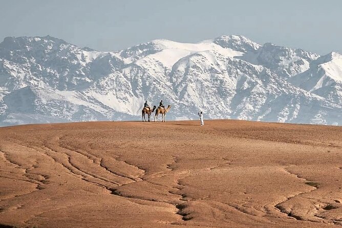Marrakech Desert Tour & Sunset Camel Ride with Dinner Show - The Itinerary in Detail