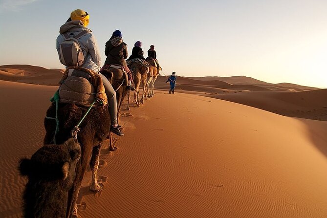 Marrakech to Merzouga Desert 3-Day via the High Atlas Mountains - What to Expect from the Itinerary