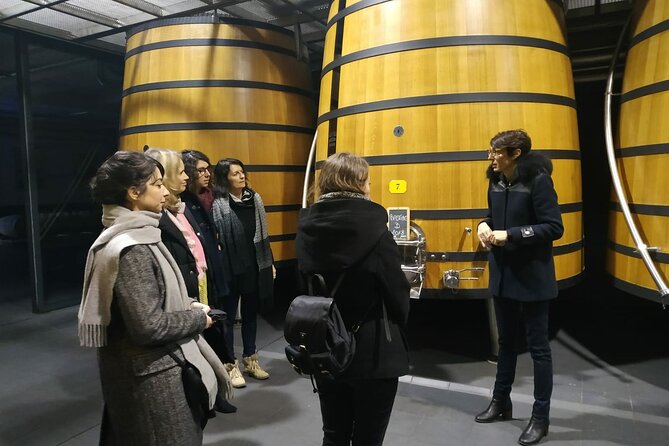 Medoc Region Wine Day Trip with Vineyard Visits & Tastings from Bordeaux - Why the Experience Works