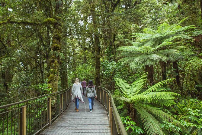 Milford Sound Coach and Cruise tour from Queenstown - The Itinerary in Detail