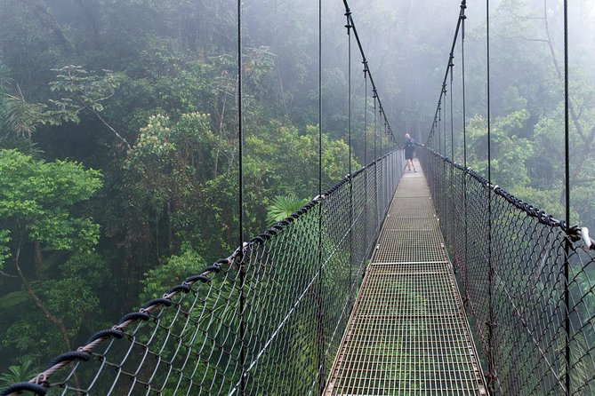Mistico Park Hanging Bridges Guided Tour - An Overview of the Mistico Park Hanging Bridges Experience