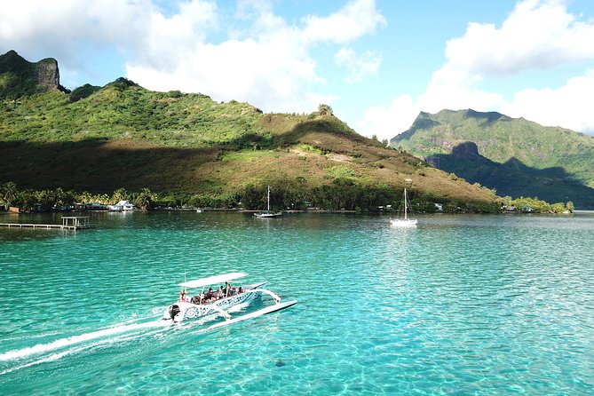 Moorea 6-Hour Snorkeling and Lunch Shared Tour - The Experience Through the Eyes of Travelers