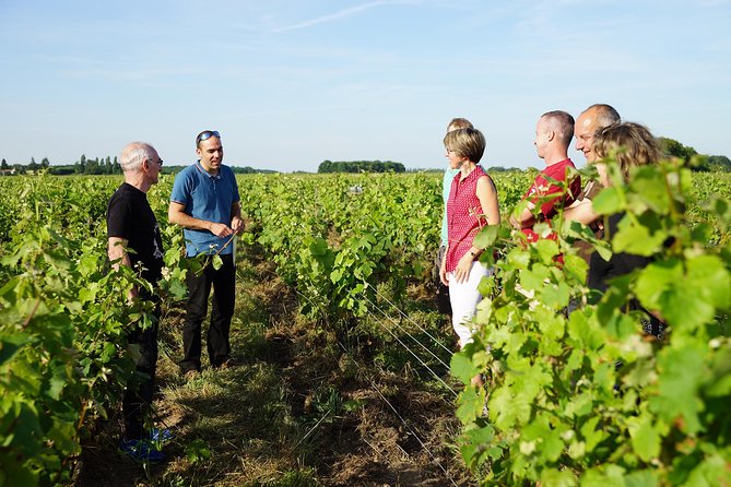 Morning - Loire Valley Wine Tour & Food Pairing, Vouvray - In-Depth Look at the Tour Experience